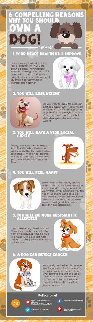6 Compelling Reasons why you Should Own a Dog! - Medy Life